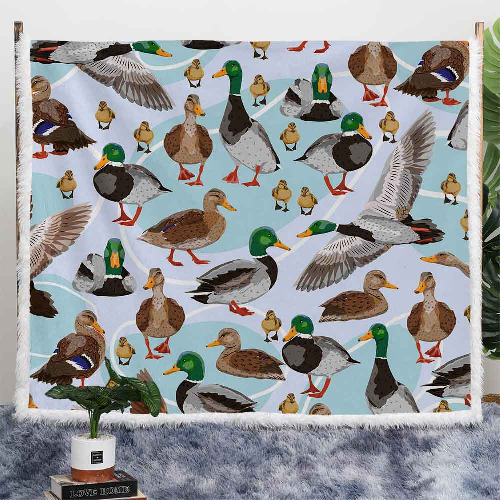 Mallard Ducks Premium Plush Sherpa Blanket – Little Squiffy